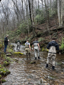 Bucktail ecology students monitor streams with DCNR | News, Sports ...